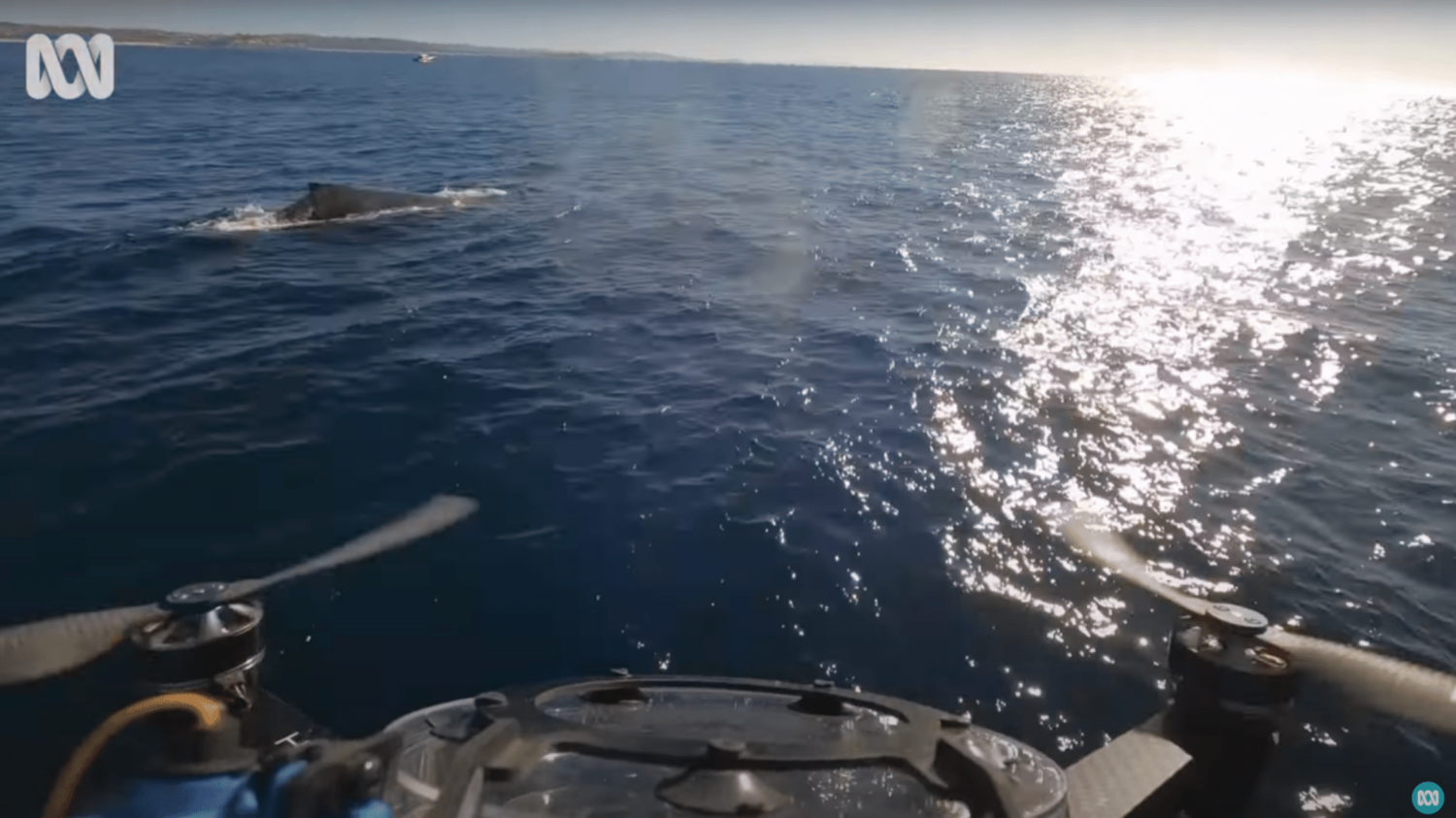 SCIENTISTS USE HELIGUY’S CUSTOM DRONE TECHNOLOGY TO COLLECT SAMPLES OF ...